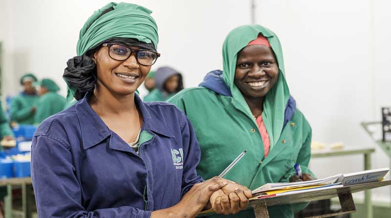 CABI Signs Agreement With COLEACP To Help Strengthen Global Food Security