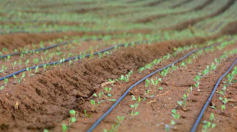Strengthening APMCS through Agriculture Infrastructure Fund (AIF) Scheme