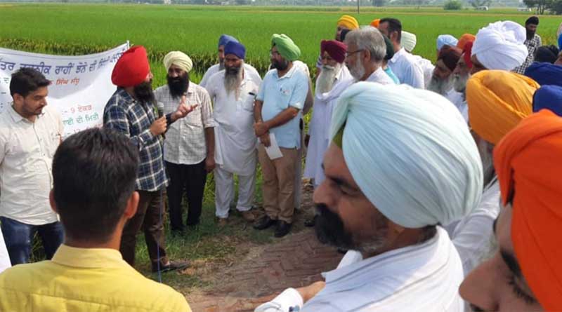 Field day on tar wattar direct seeded rice - a novel technique