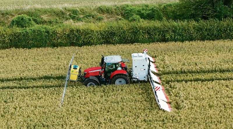 A shocking way to terminate plants