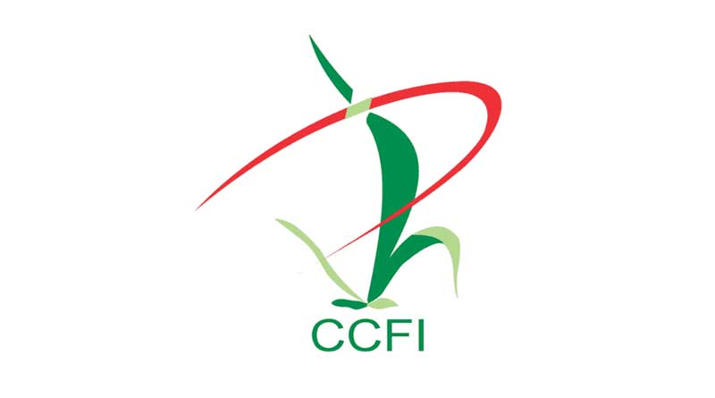 CCFI submits pre-budget representation to the government over surging ...