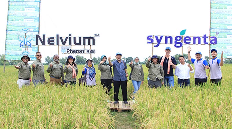 Provivi and Syngenta Crop Protection launch pheromone-based technology ...