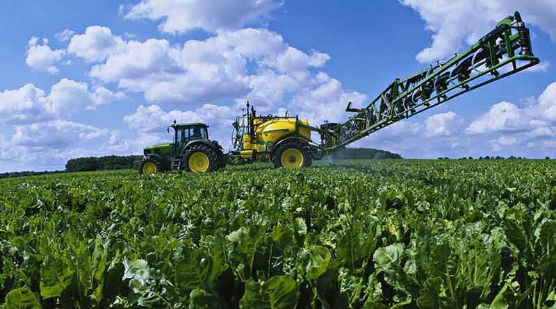 UK: Green leaf protection to boost late season sugar