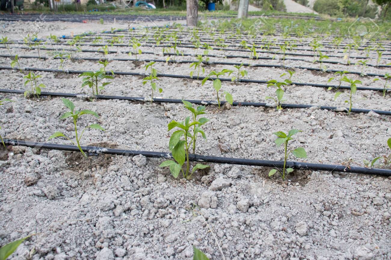 China launches emergency response for typhoon, floods in parts of China