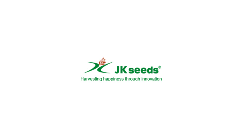 JK Seeds wheat variety JK 5501
