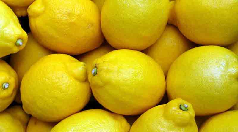 Lemon Varieties Suitable for growing in Uttarakhand