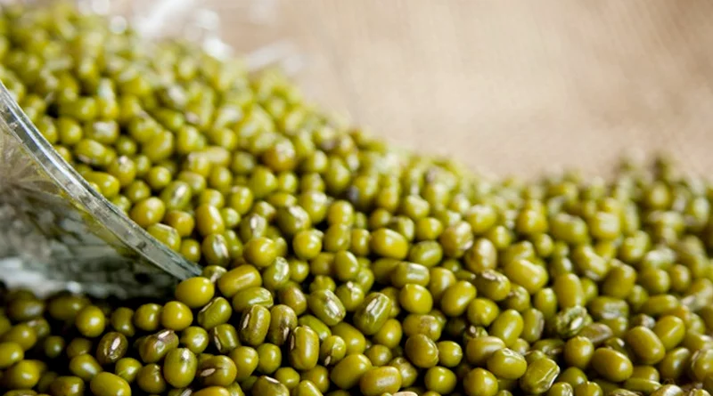 Moong Varieties Suitable for growing in Kharif in Uttarakhand (Tarai ...