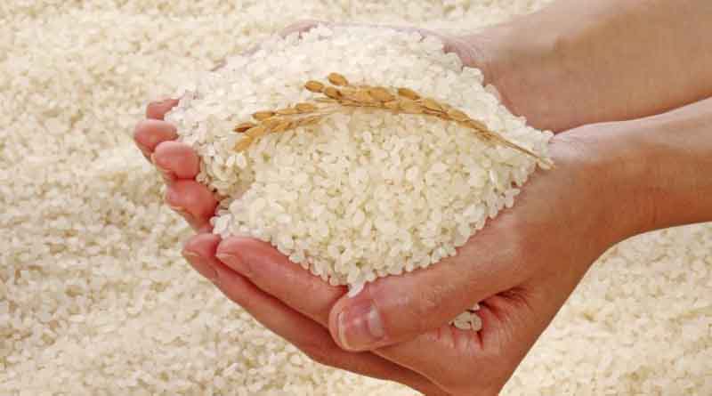 Report on NSW Rice Vesting Arrangements