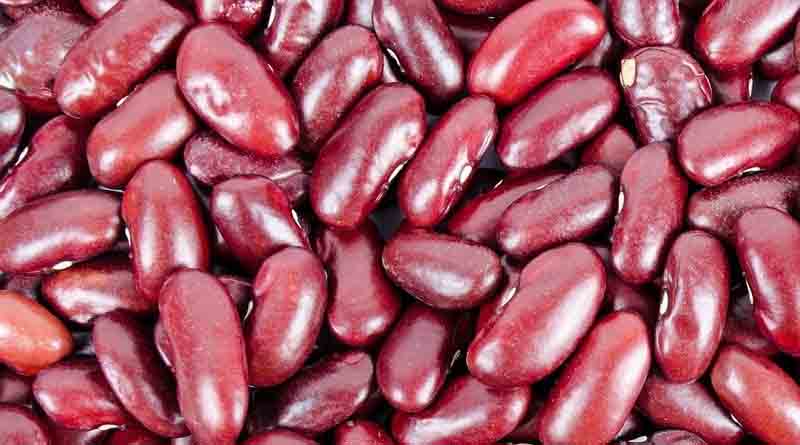 Rajma Varieties Suitable for growing in Kharif in Uttarakhand (Hill)
