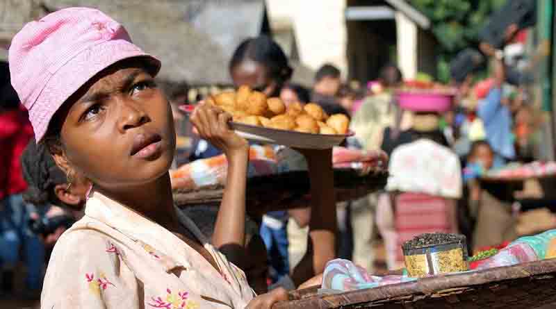 SciDev.Net special report investigates global food crisis