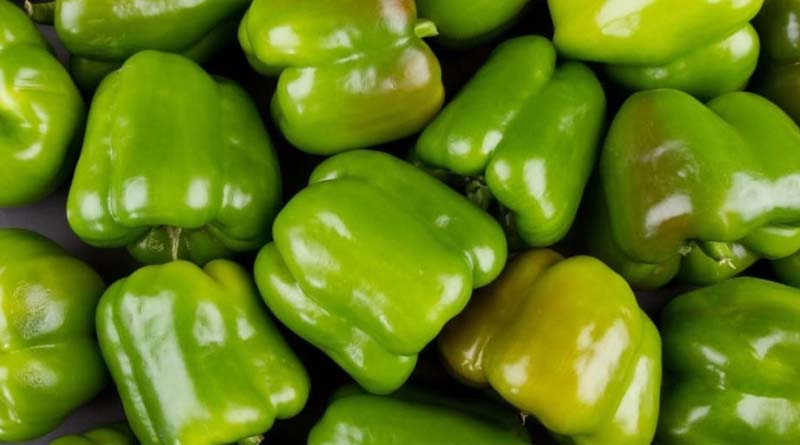 High Yielding Capsicum Variety KTC-1