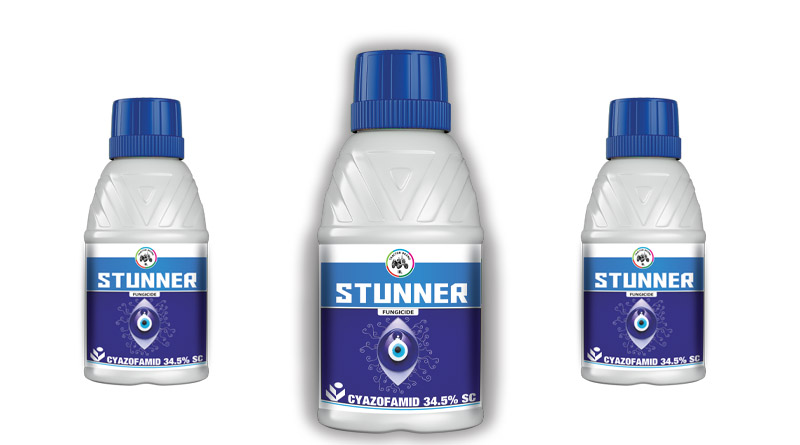 Insecticides India launched new fungicide Stunner for Downy Mildew ...