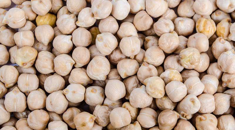 High yielding variety of Green Gram / Chickpea GNG 2207