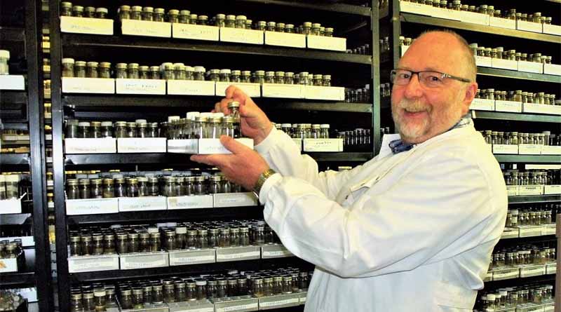 Review highlights a century of science in tackling emerging fungal ...