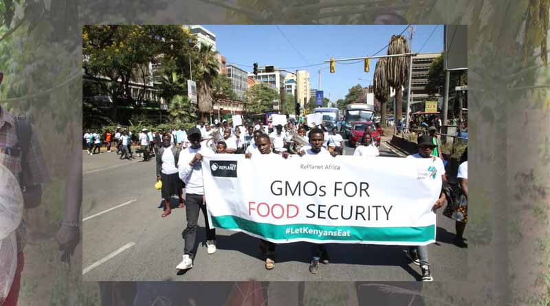 GMOs for food security: Kenyan university students express their support for GM crops