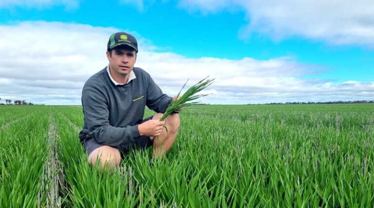 Digital Crop Trials Technology Guides Best Input Decisions