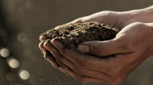 Save Soil Campaign: Visionary Awareness or Vanishing Act? A Closer Look ...