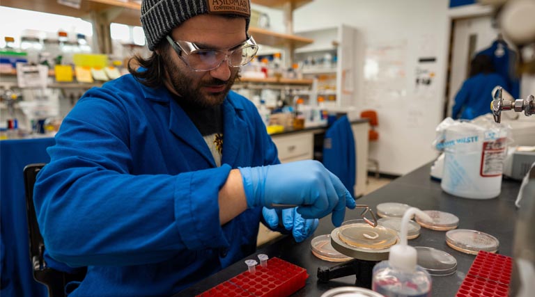 Biologists and Engineers Discover What Makes a Plant-wilting Bacteria ...