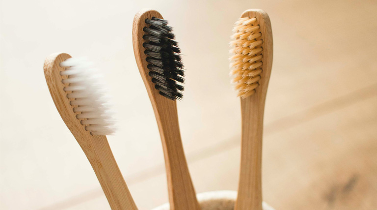 How the Bamboo Brush Became a Symbol of Sustainability