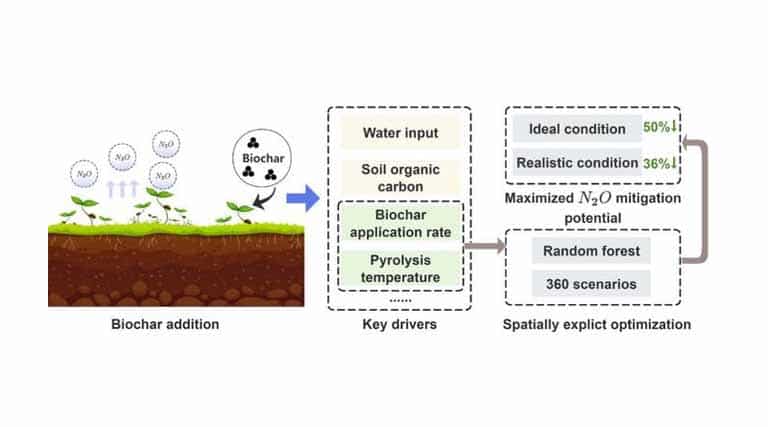 Optimized Biochar Use Could Cut China’s Cropland Nitrous Oxide ...