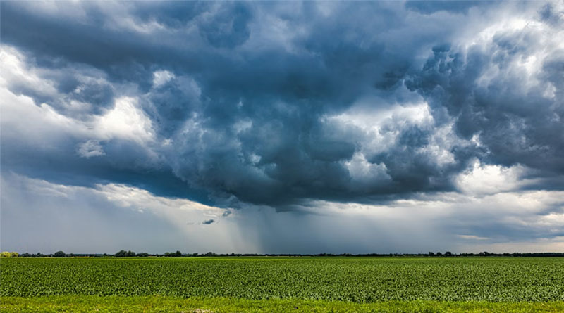 India’s 2026 Monsoon Forecast at 92%: Irrigation Gains to Buffer Output ...